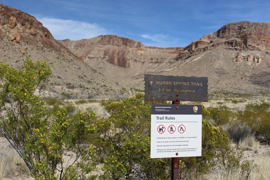 Burro Spring Trail