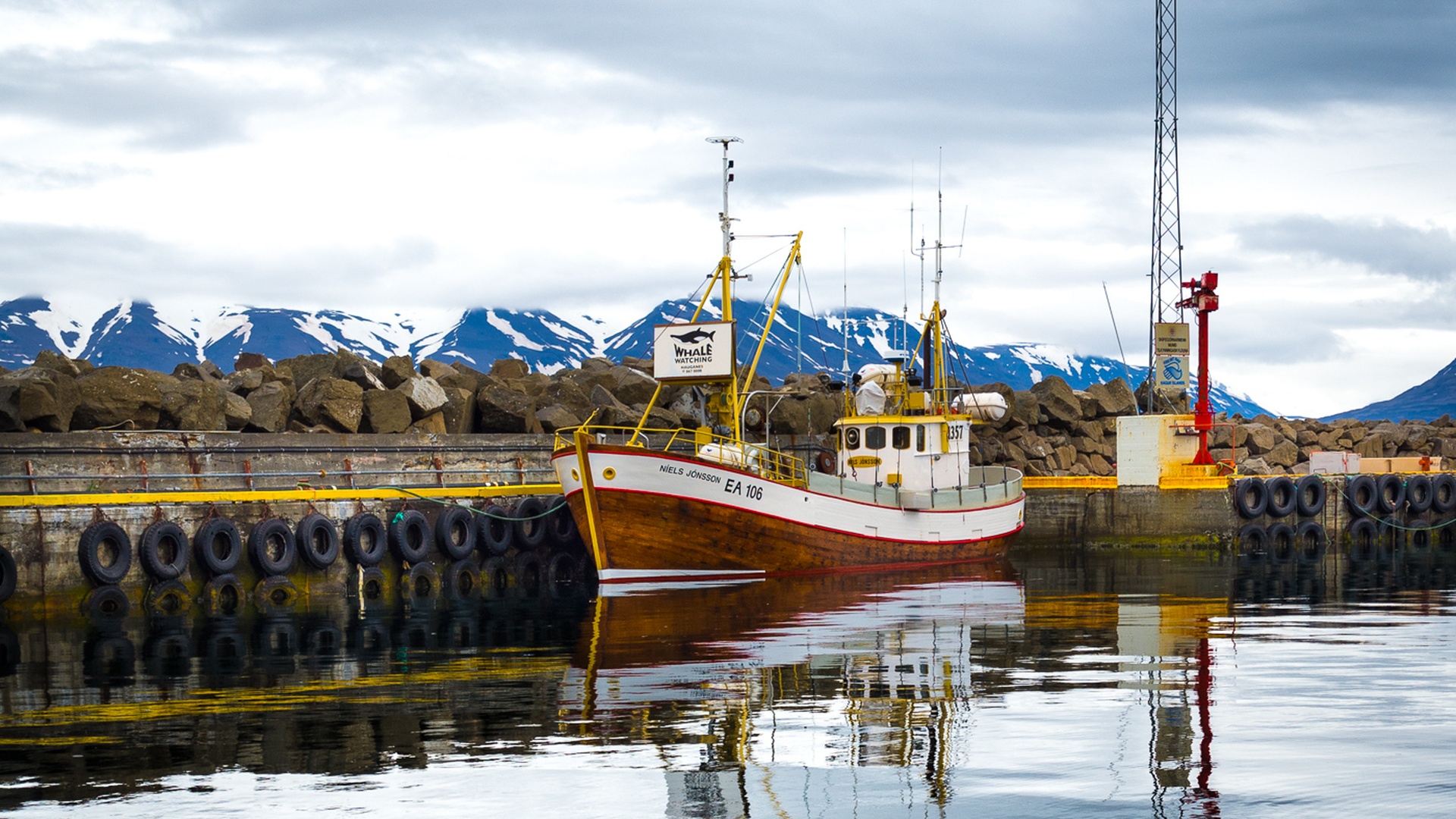 Whale Watch at Hauganes, Iceland