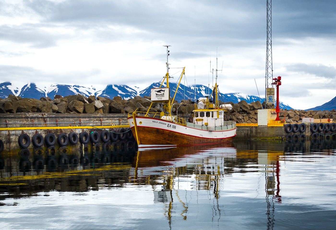 Whale Watch at Hauganes