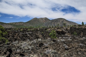 Sunset Crater Volcano National Monument