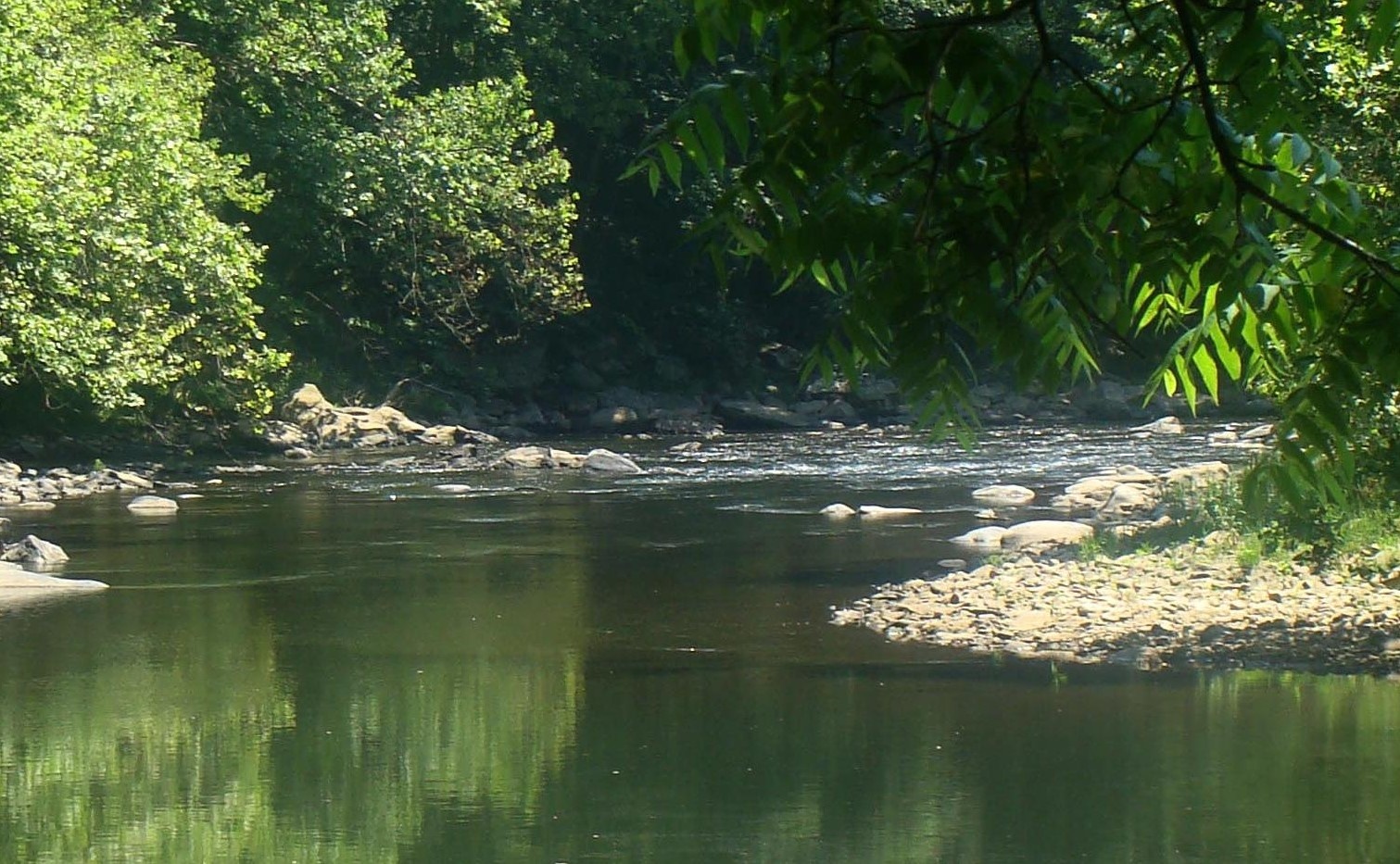 Bluestone National Scenic River