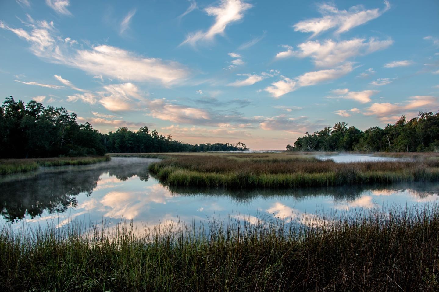 Davis Bayou Campground