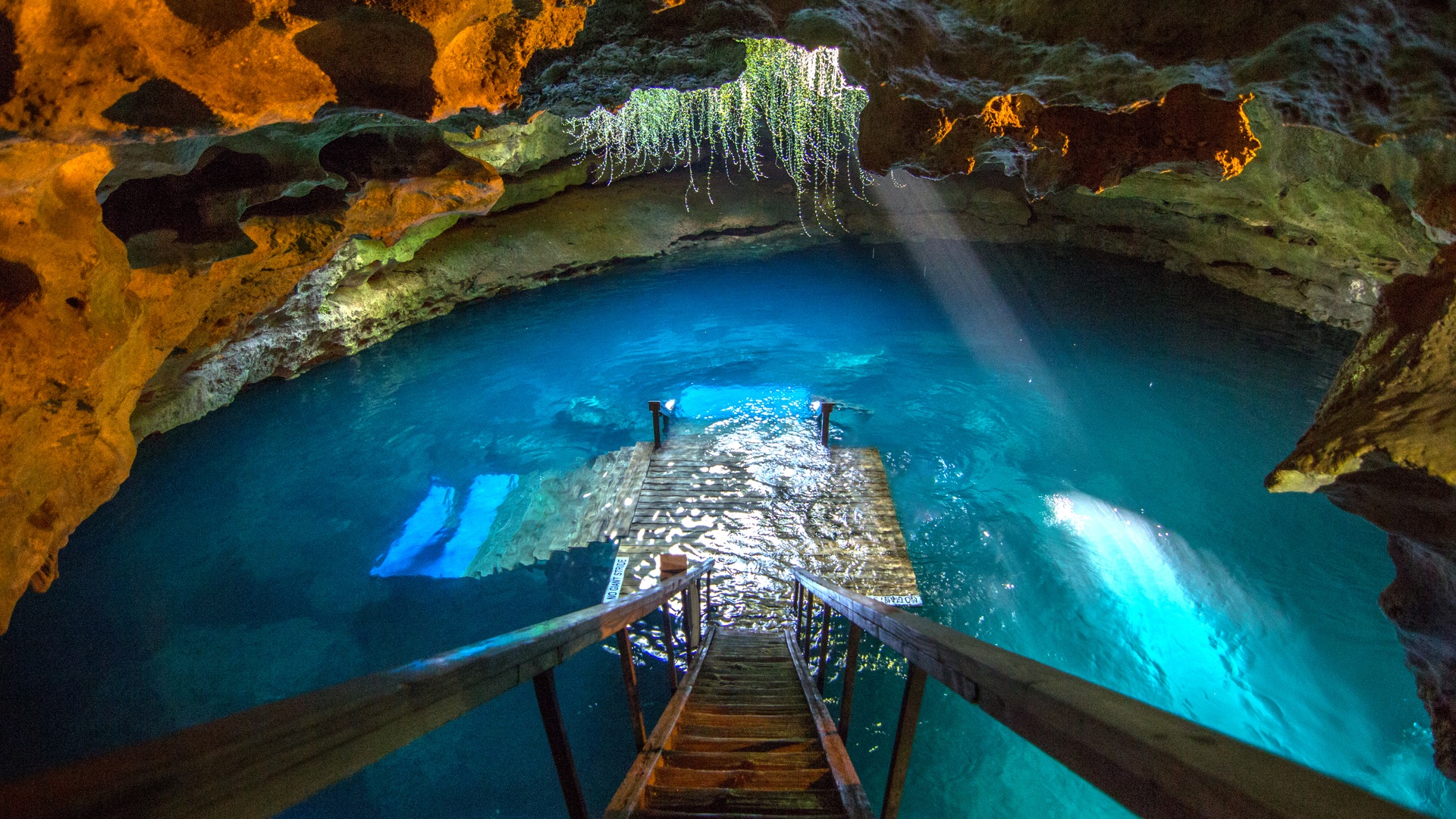 Blue Grotto Florida Fish