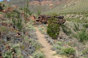 Burro Spring Trail