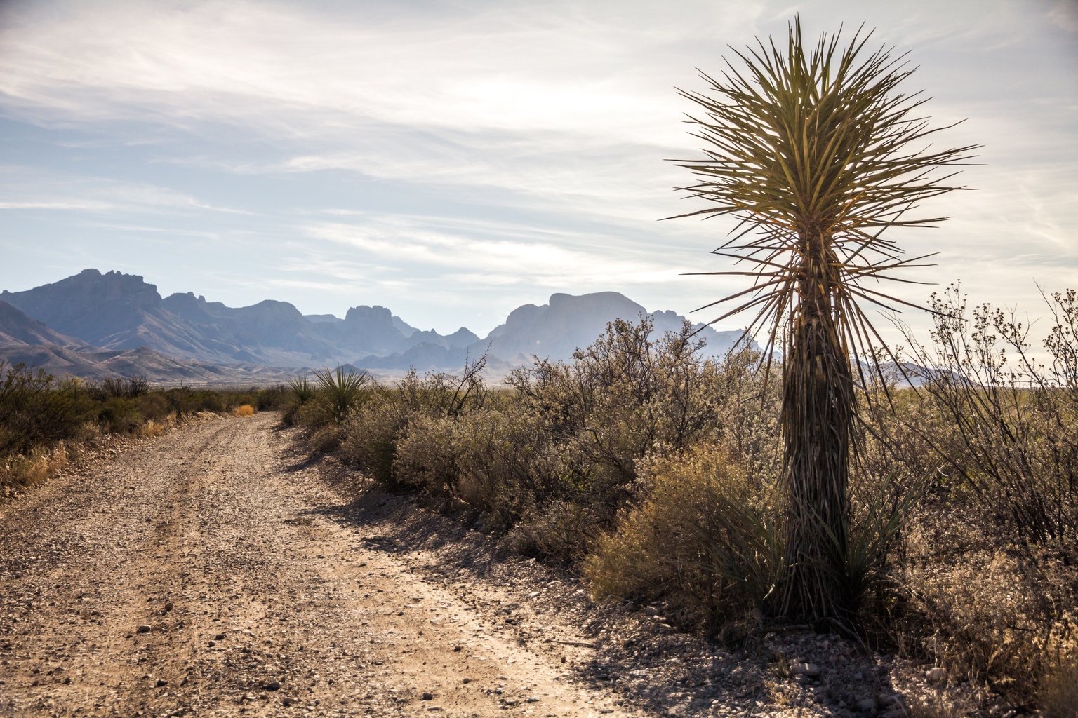 Grapevine Hills Road