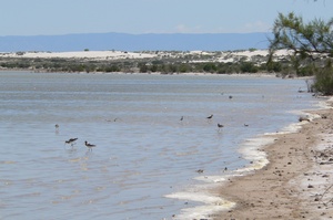 Lake Lucero