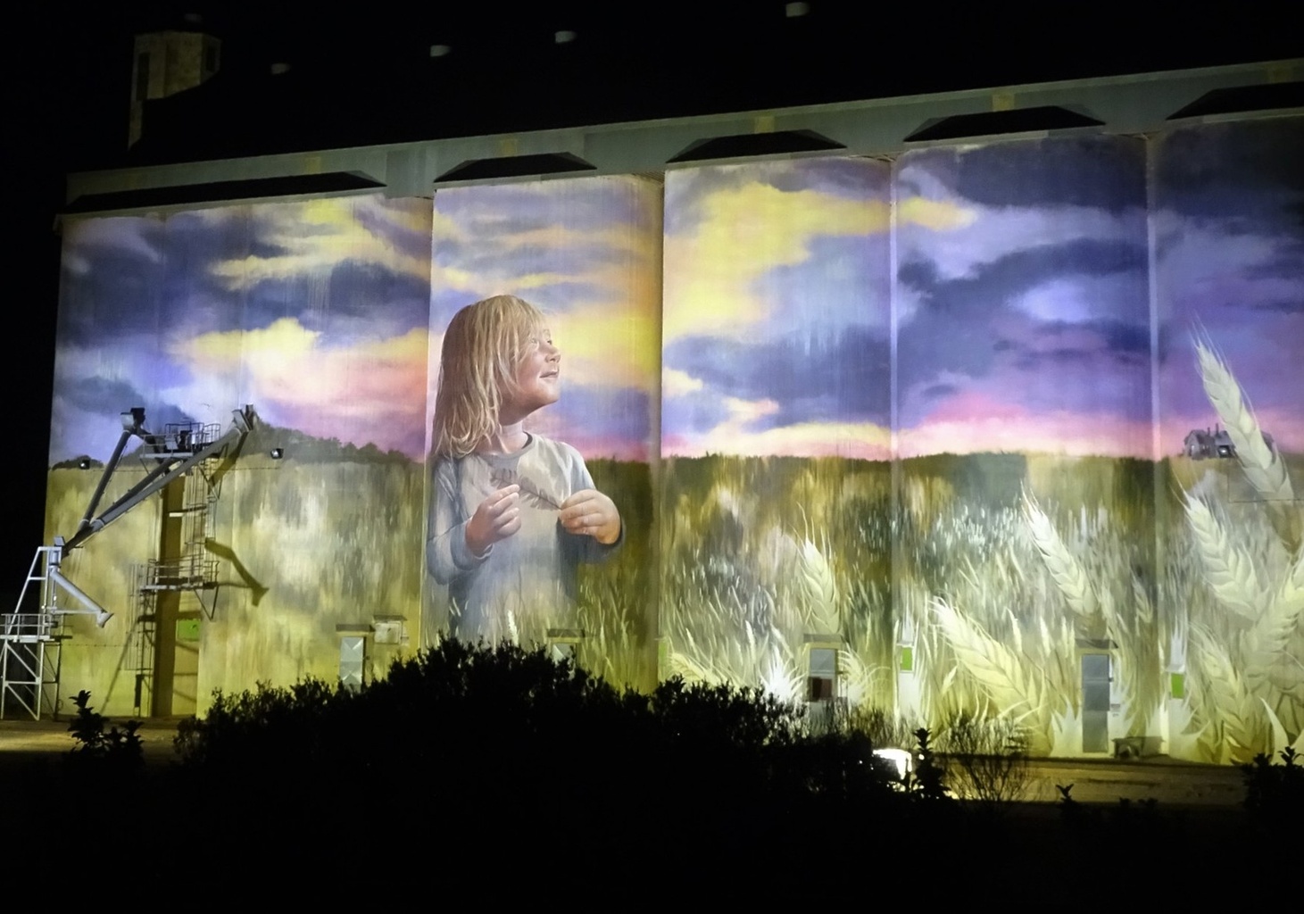 Kimba Silo Art