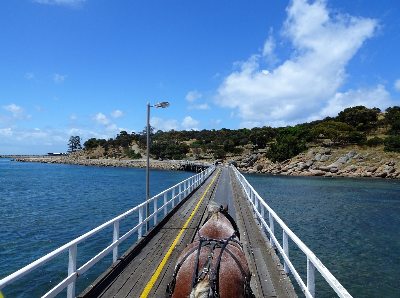 Granite Island (South Australia)