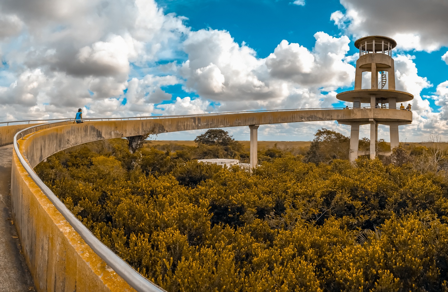 Shark Valley Observatory Tower