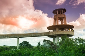 Shark Valley Observatory Tower