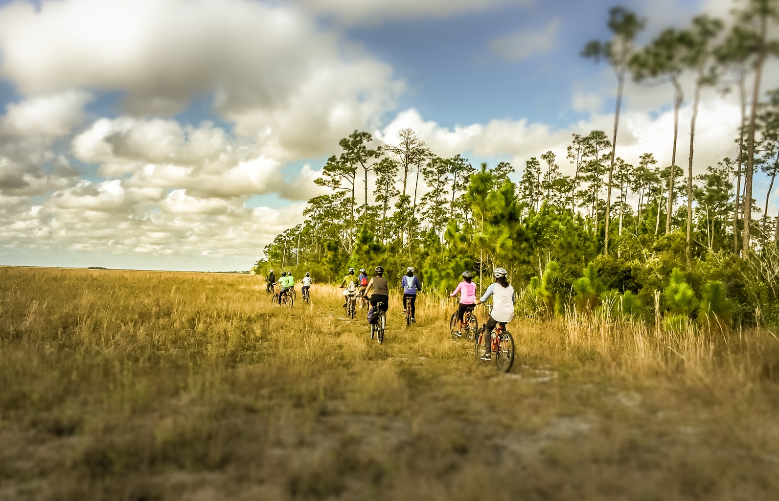 Long Pine Key Nature Trail