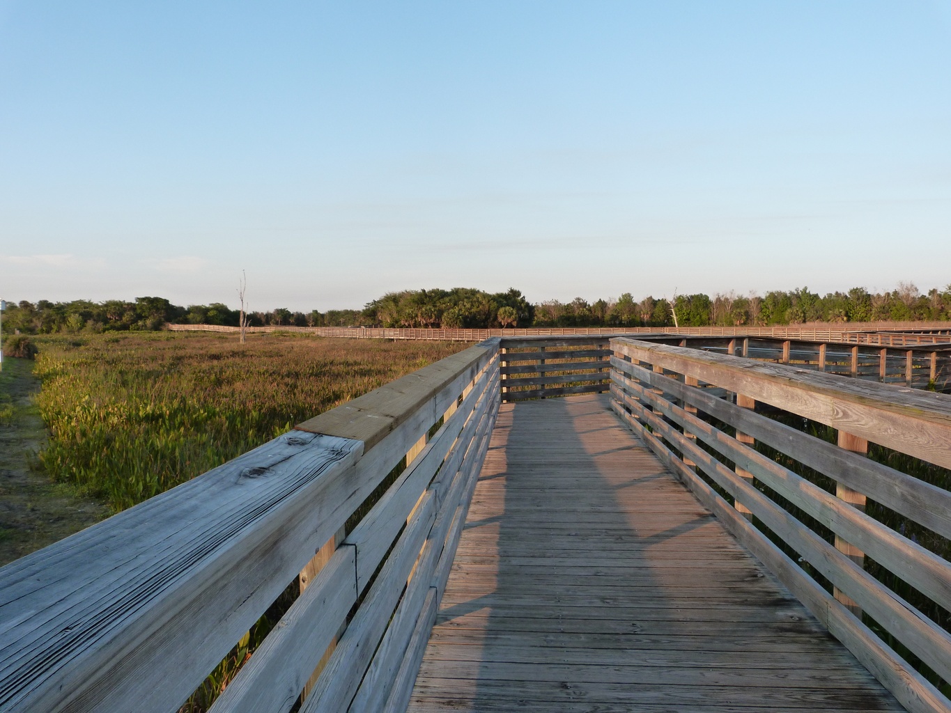 Green Cay Wetlands