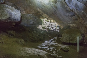 Punakaiki Cavern