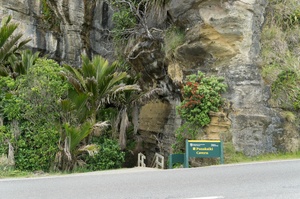 Paparoa National Park
