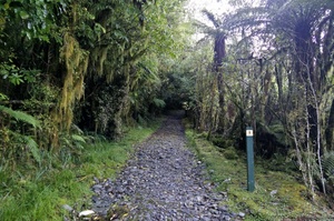 Callery Gorge Walk