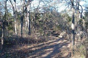 Goat Cave Karst Nature Preserve