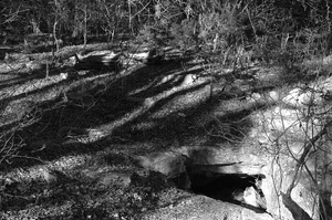 Goat Cave Karst Nature Preserve
