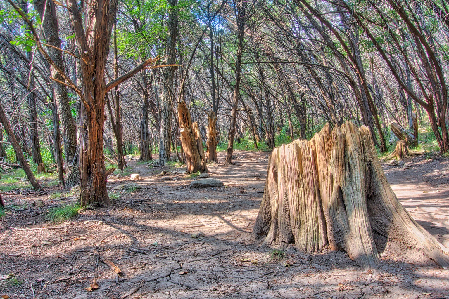 Emma Long Metropolitan Park
