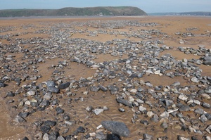 Ginst Point (Laugharne Sands)