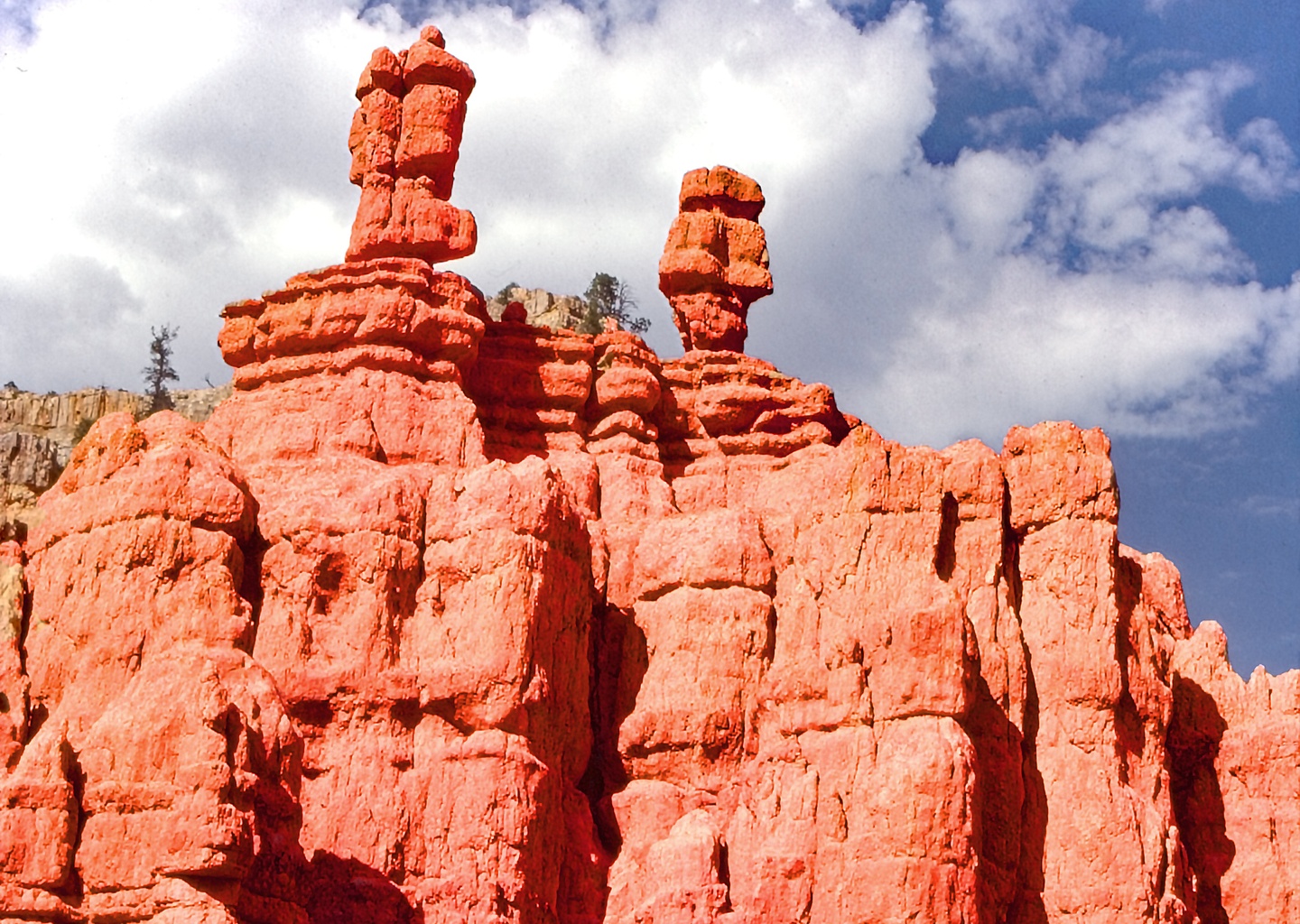 Red Canyon