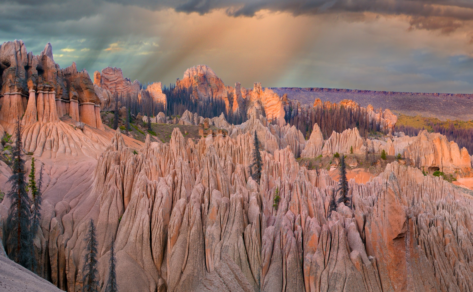 Wheeler Geologic Area