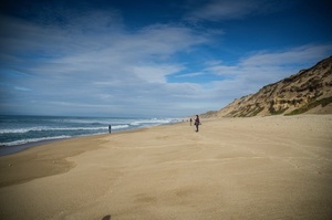 Fort Ord Dunes State Park