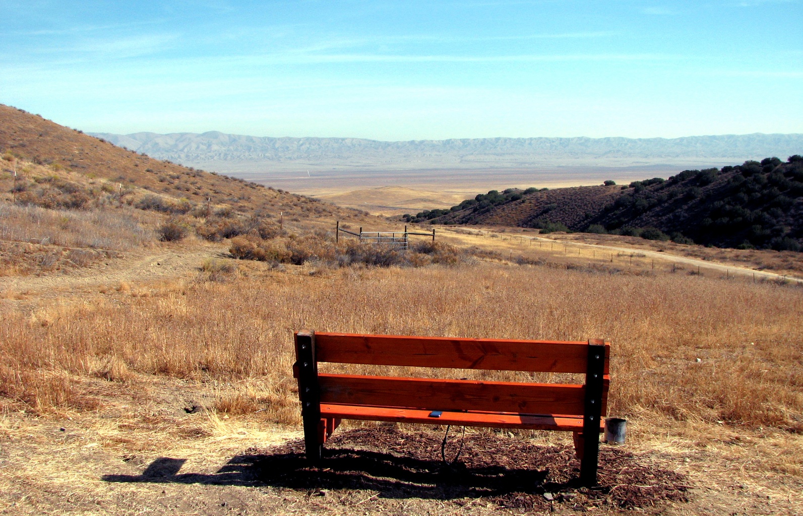Carrizo Plains Campground Selby Running From Moose: Carrizo Plain
