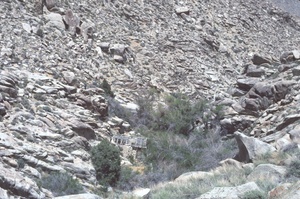 Beveridge Ghost Town