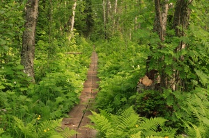 Ryan Island & Siskiwit Lake