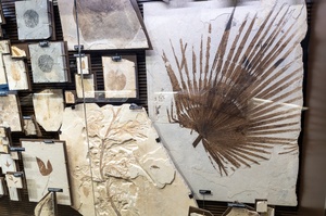 Fossil Butte National Monument Visitor Center