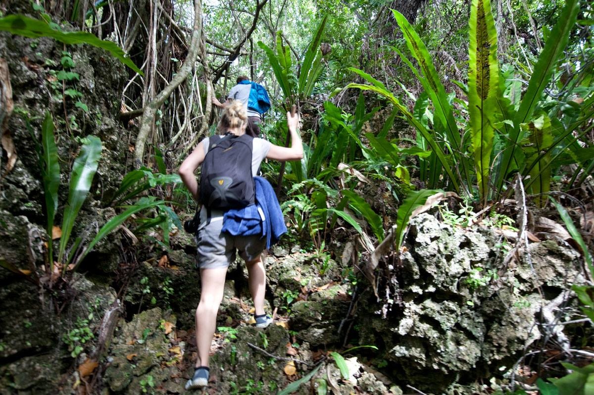 Anatakitaki Kopeka Bird Caves