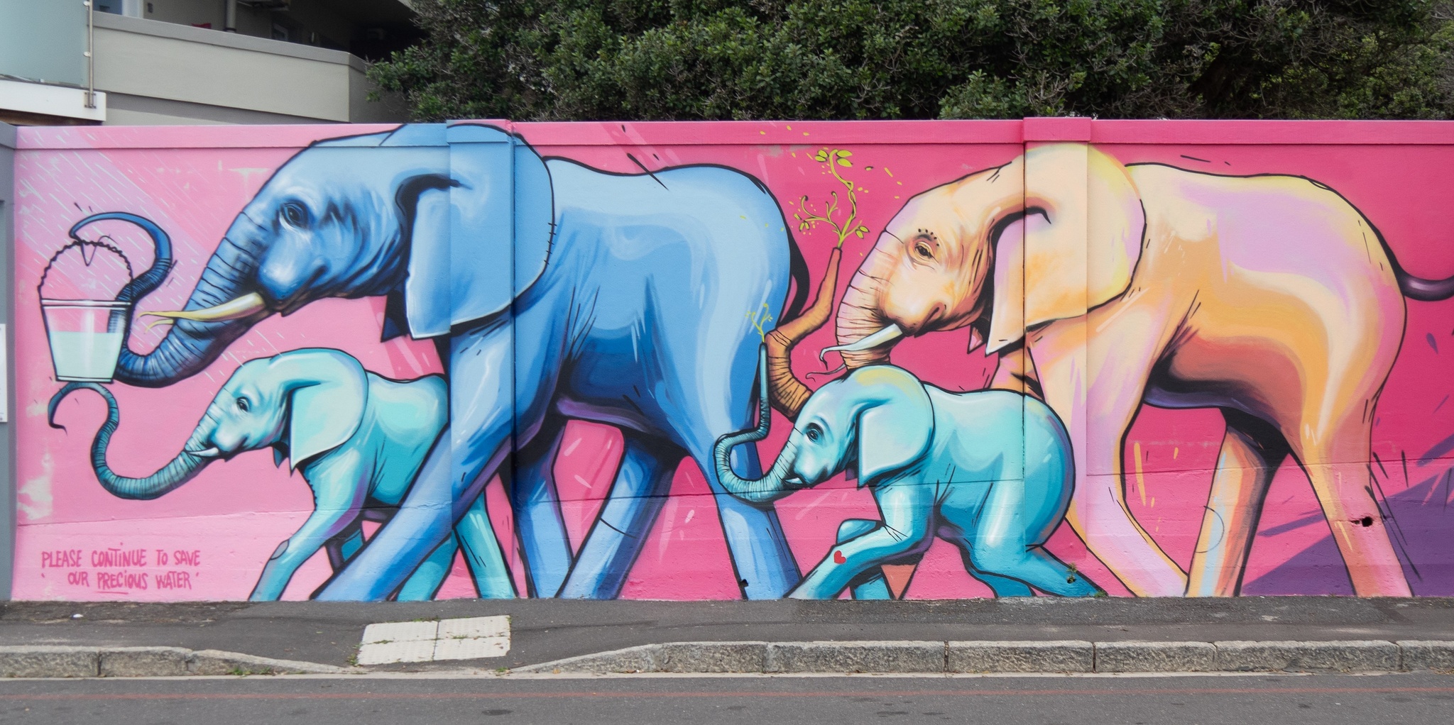 Cape Town's Street Art