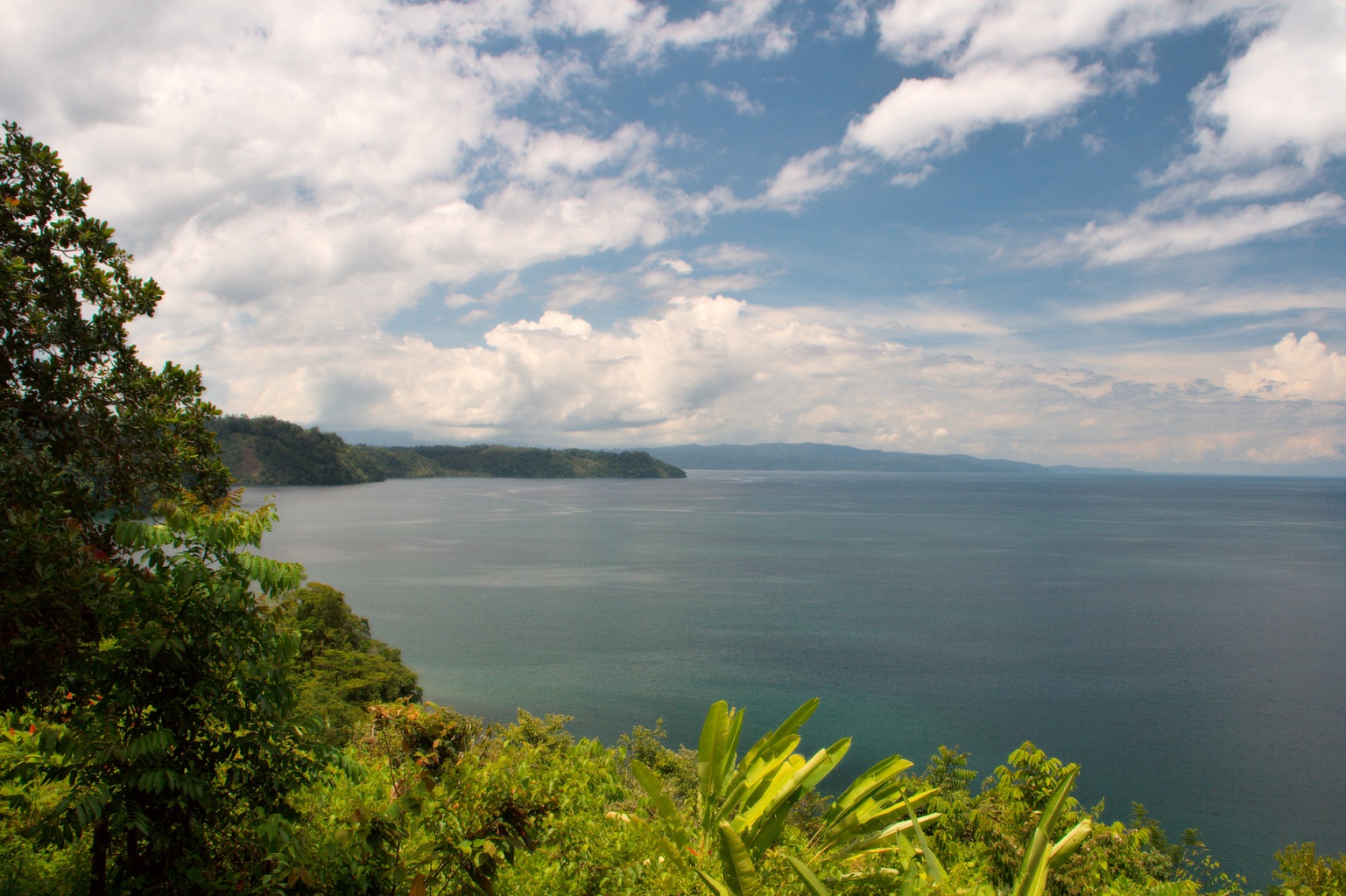 Puerto Jimenez