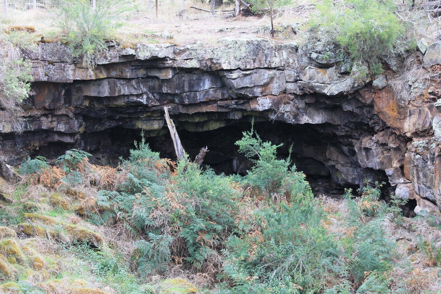 Byaduk Caves