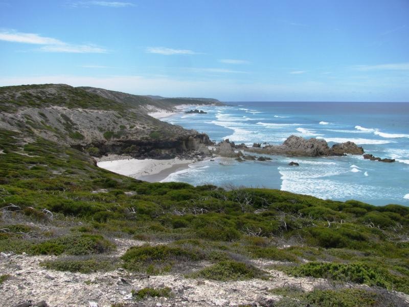 Whalebone Point