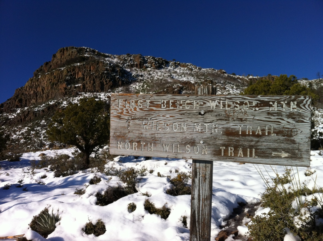 Wilson Mountain Trail