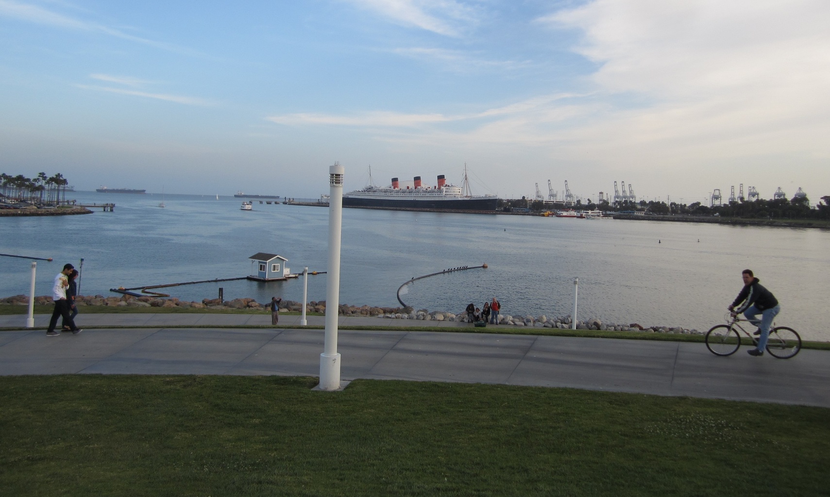 Shoreline Pedestrian Bikepath