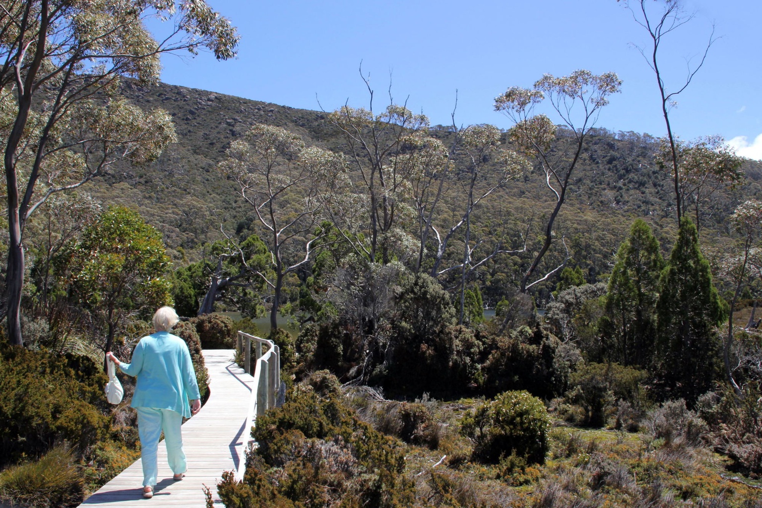 Pandani Grove Nature Walk