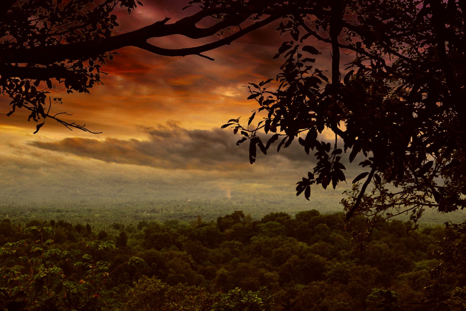 Aralam Wildlife Sanctuary