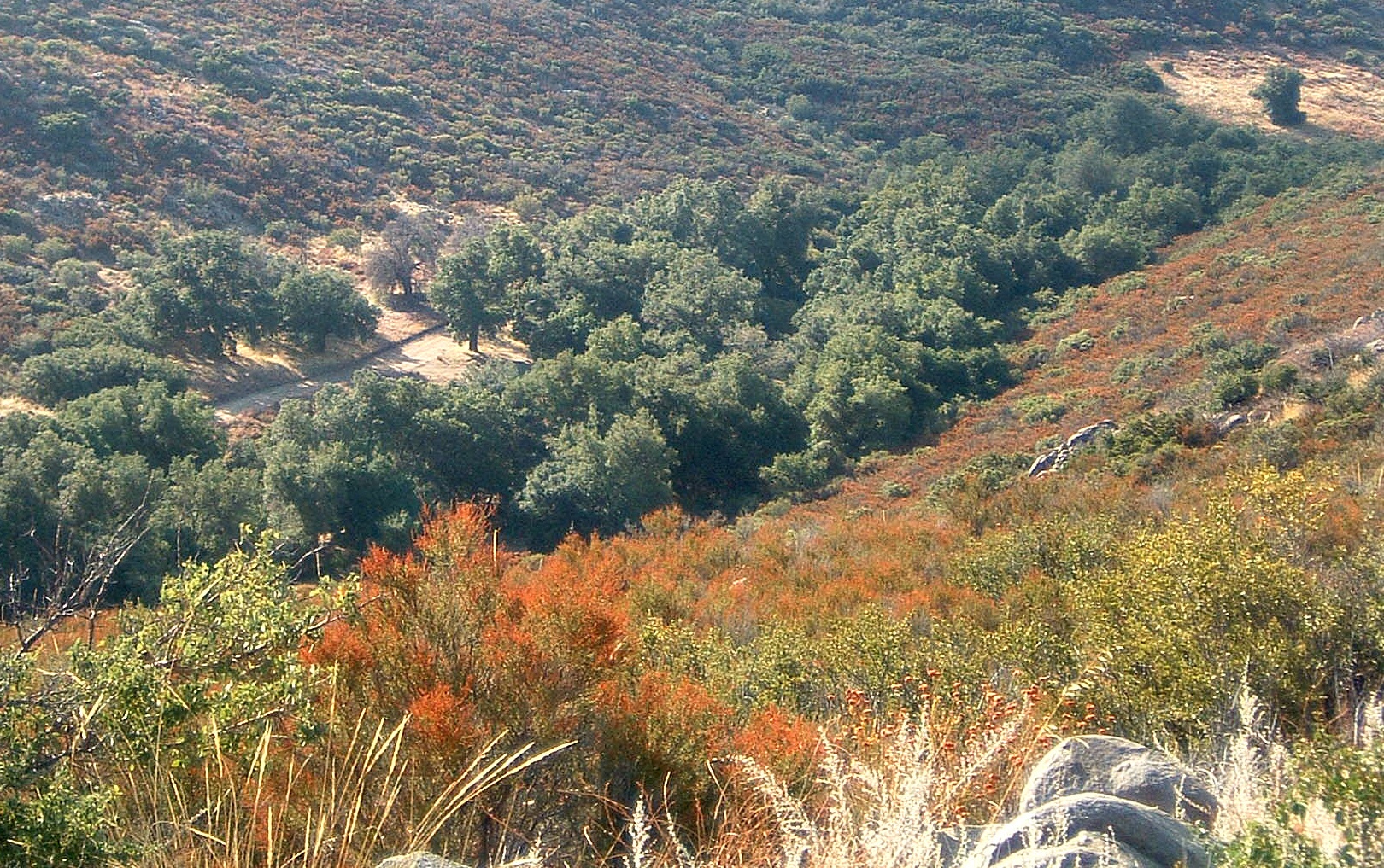 Pacific Crest Trail (PCT) - Kitchen Creek Road to Fred Canyon