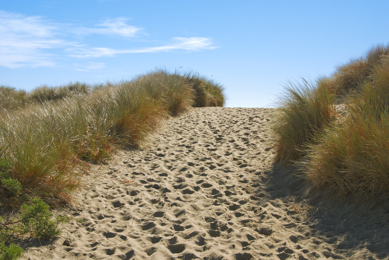 Limantour Beach
