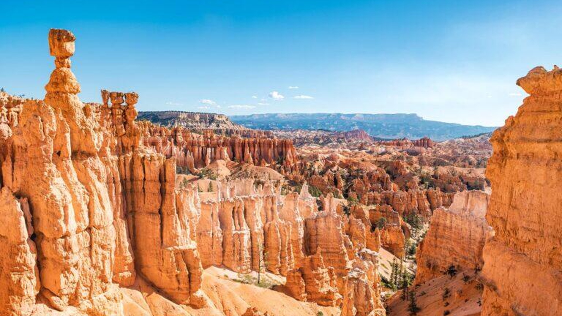 Experience America’s National Parks in This Uniquely Incredible Way