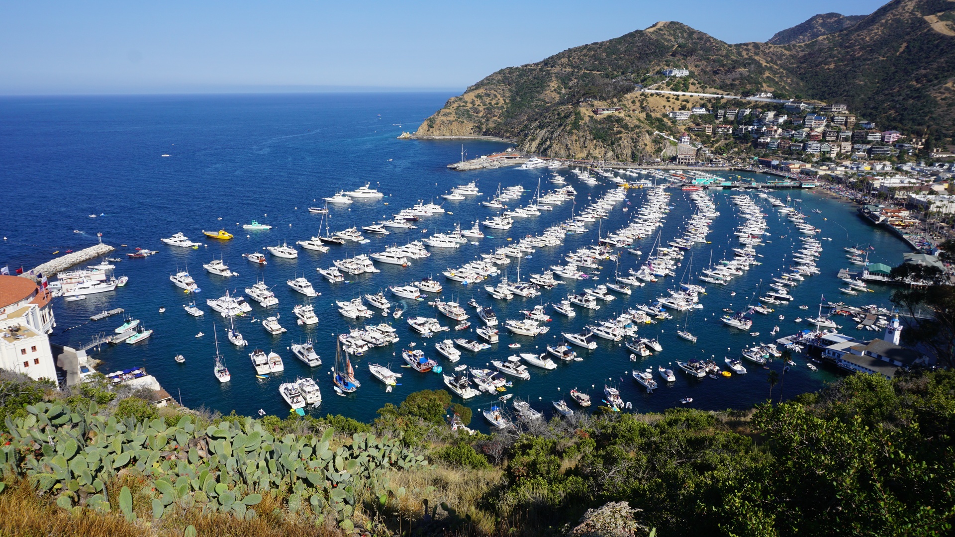 Catalina Island is reopening. What you should know before you visit