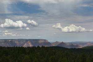 Grandview Lookout Tower