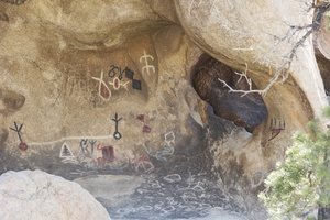 Joshua Tree National Park