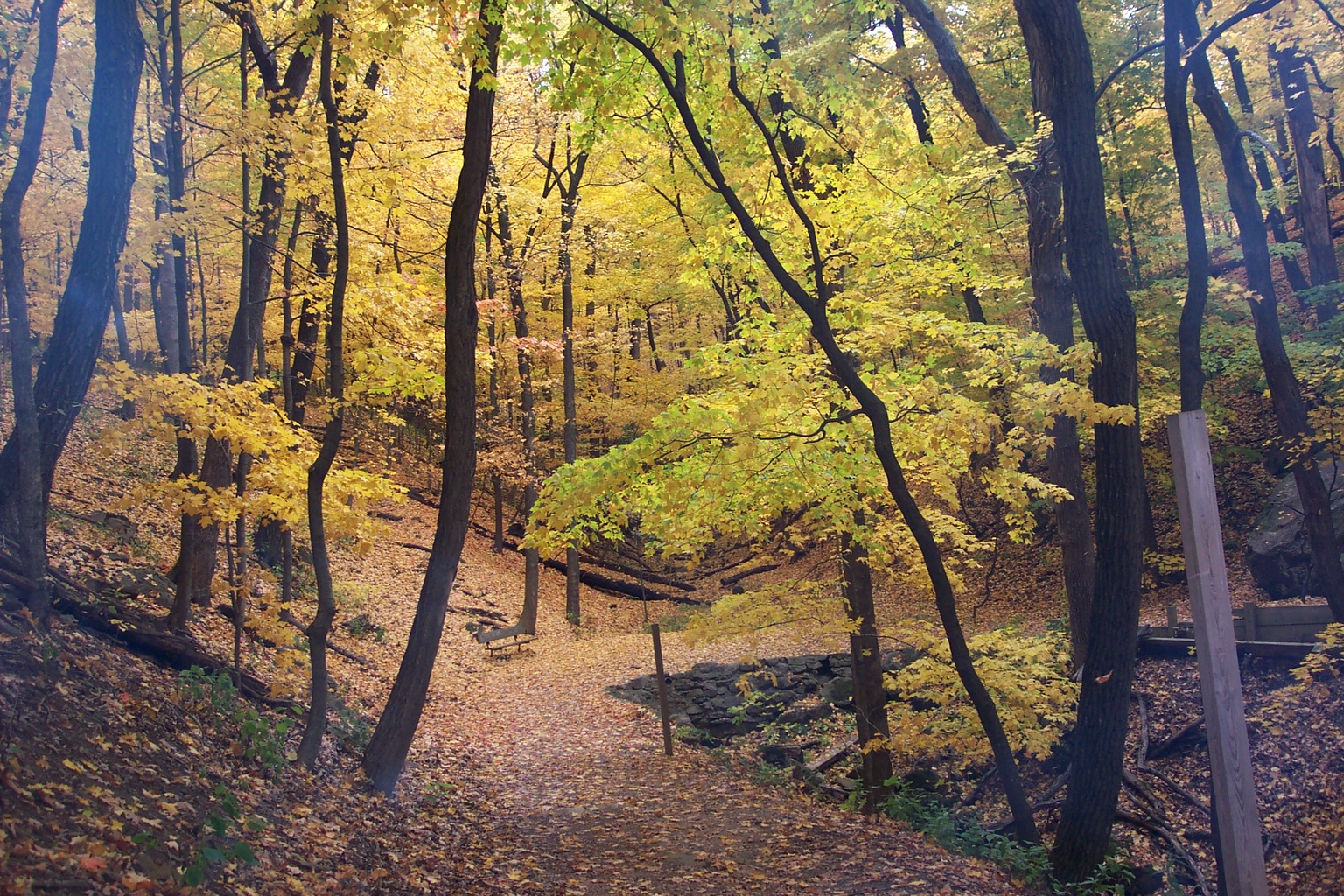 Matthiessen State Park