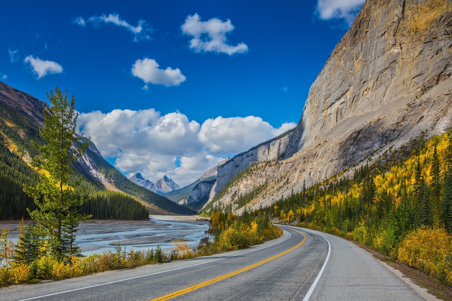 Bow Valley Parkway