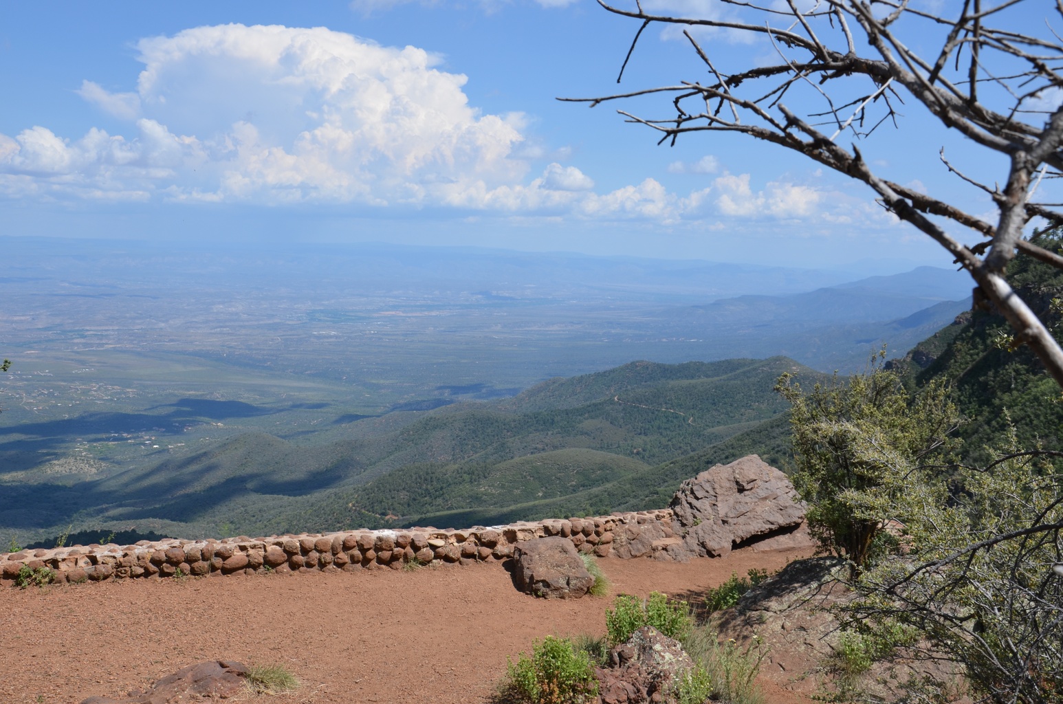 Mingus Mountain Picnic Site
