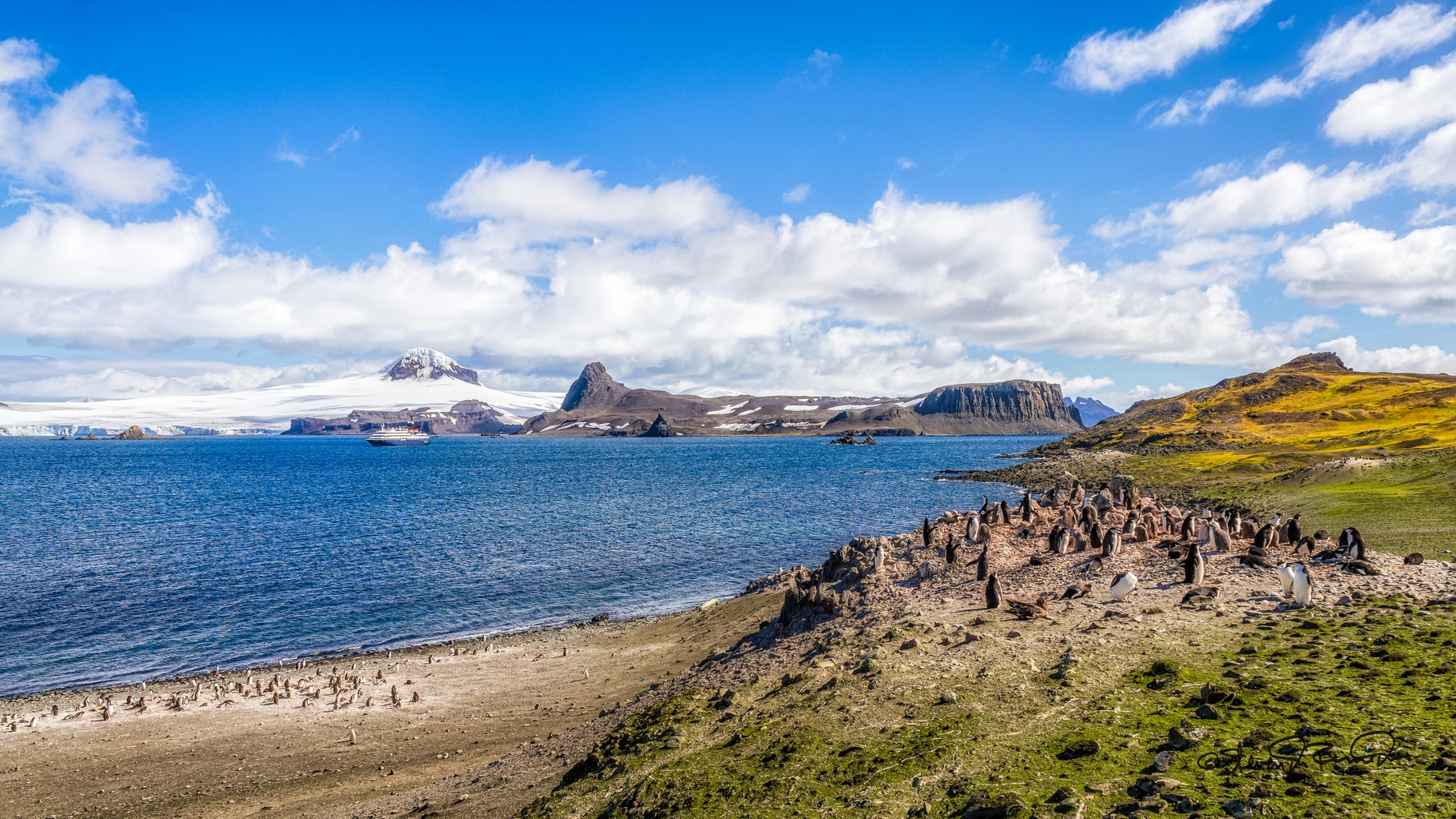 Aitcho Islands (South Shetland Islands)