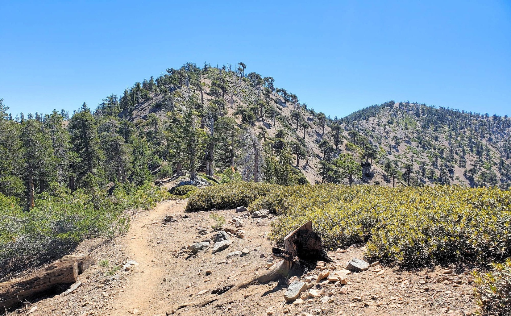 Throop Peak